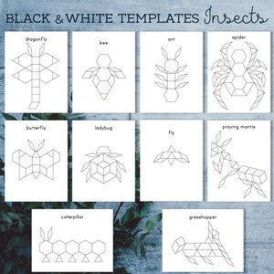 Insect Pattern Blocks Templates. Spring Printable Preschool and ...