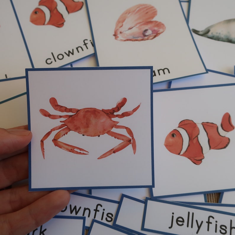 Ocean Montessori Printable 3 Part Cards. Preschool Vocabulary - Etsy