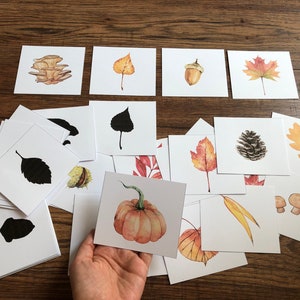 Autumn Shadow Matching Montessori Printable. Fall Nature Activity ...