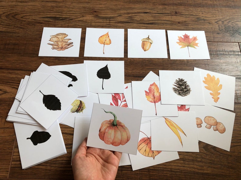Autumn Shadow Matching Montessori Printable. Fall Nature - Etsy