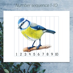 Bird Preschool Printable Number Sequence Puzzles 1-10. Montessori ...