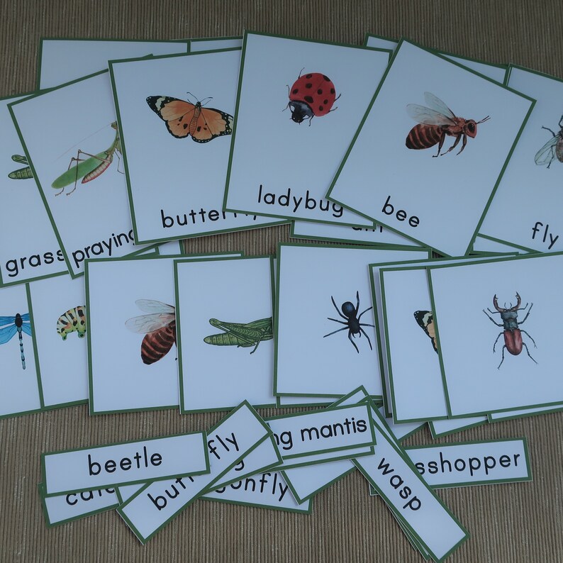 Insect Montessori Printable 3-part Cards. Preschool and - Etsy