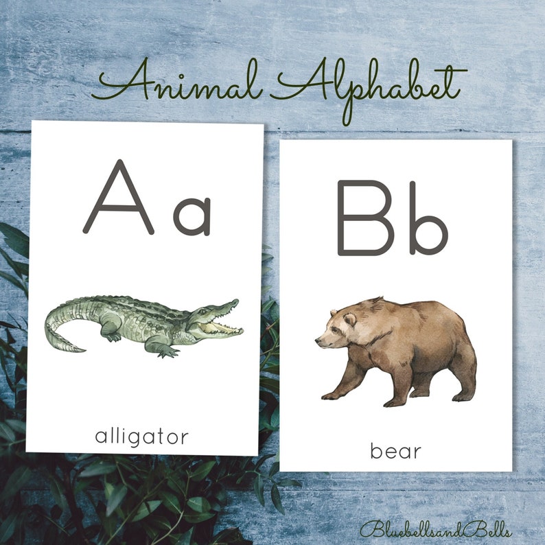 Animal Alphabet Cards. Watercolor Letter Flash Cards. - Etsy