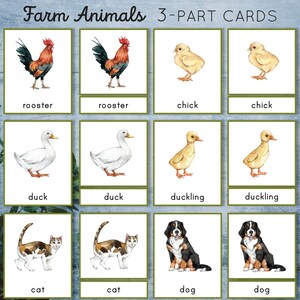 Farm Animal Montessori Printable 3 Part Cards. Preschool and ...