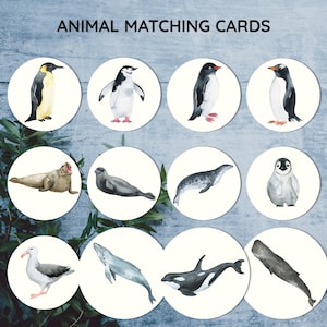 Antarctica Animals Map Matching Activity. Montessori Winter Preschool ...