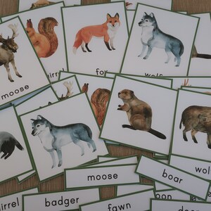 Woodland Animals Montessori 3 Part Cards. Preschool Vocabulary Activity ...