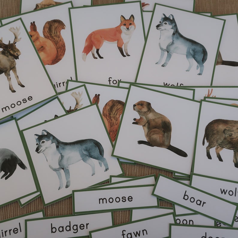Woodland Animals Montessori 3 Part Cards. Preschool Vocabulary | Etsy