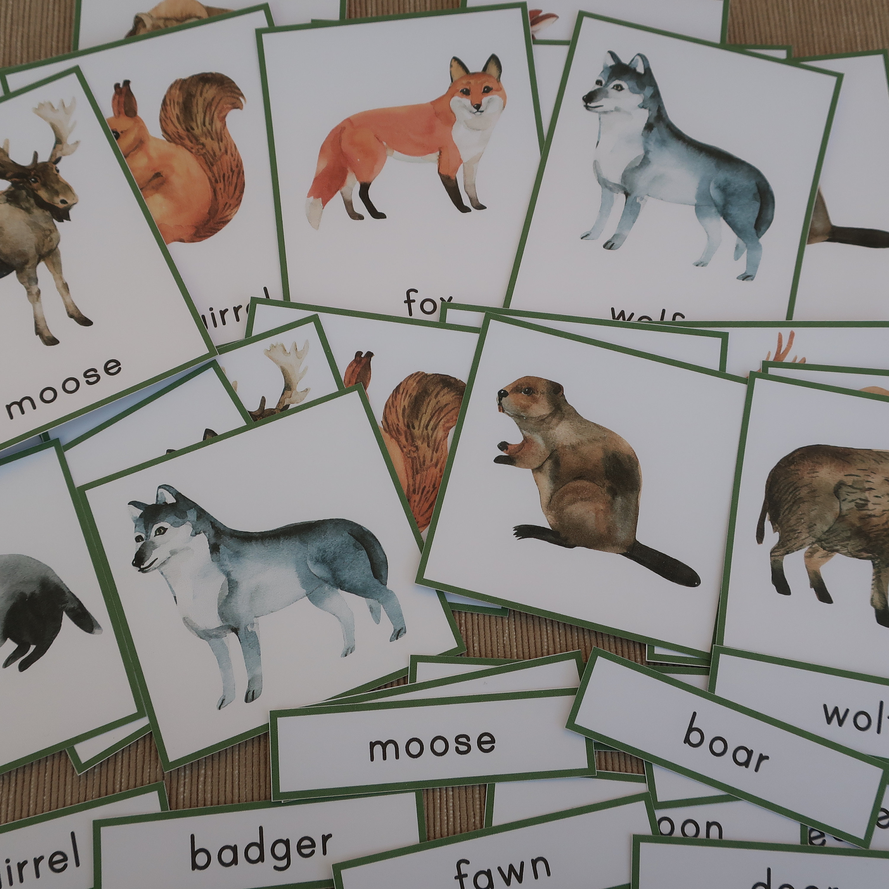 Woodland Animals Montessori 3 Part Cards. Preschool Vocabulary | Etsy