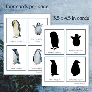 Antarctica Animal Flashcards and Shadow Matching Cards. Montessori ...