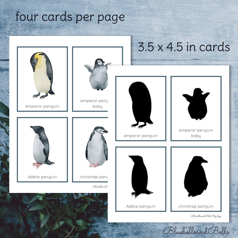 Antarctica Animal Flashcards and Shadow Matching Cards. - Etsy