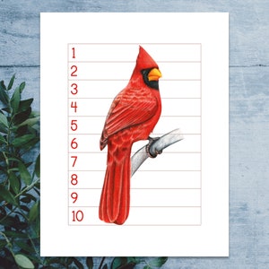 Bird Preschool Printable Number Sequence Puzzles 1-10. Montessori ...