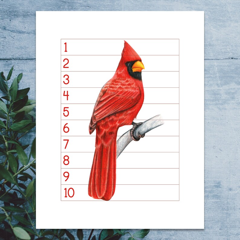 Bird Preschool Printable Number Sequence Puzzles 1-10. - Etsy Ireland