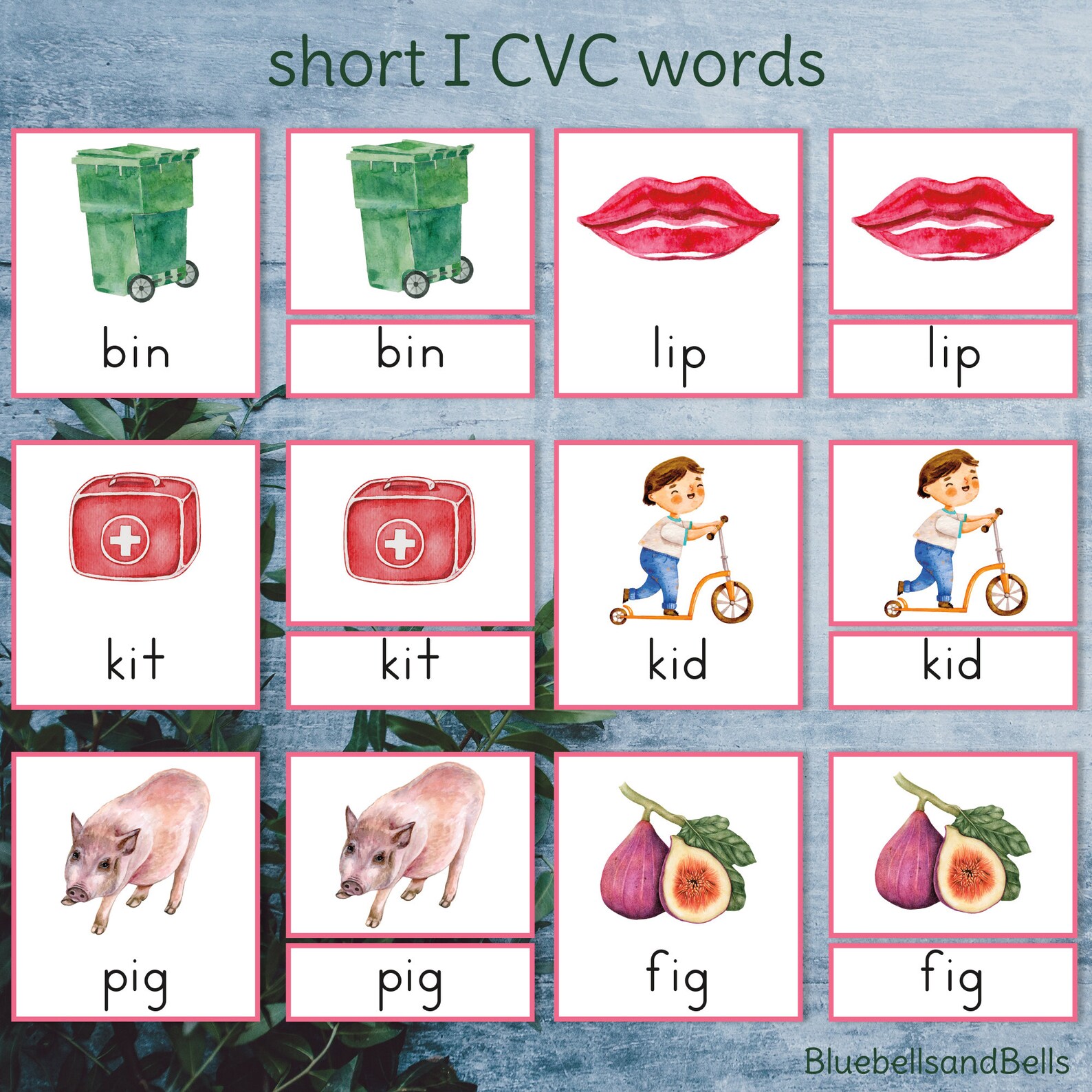 Montessori Printable CVC Phonics 3-part Cards. CVC Words | Etsy