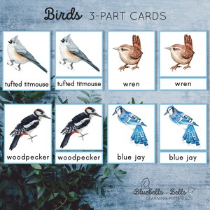 Birds Montessori Printable 3-part Cards. Spring Vocabulary Activity for ...