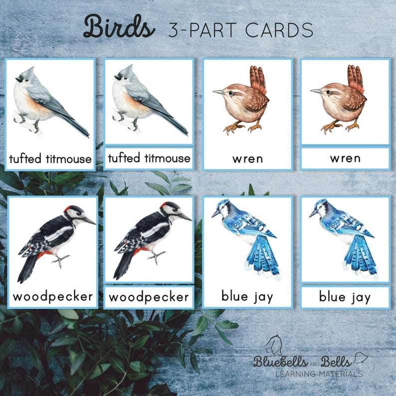 Birds Montessori Printable 3-part Cards. Spring Vocabulary Activity for ...