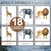 Africa Animals Montessori 3 Part Cards. Preschool and - Etsy