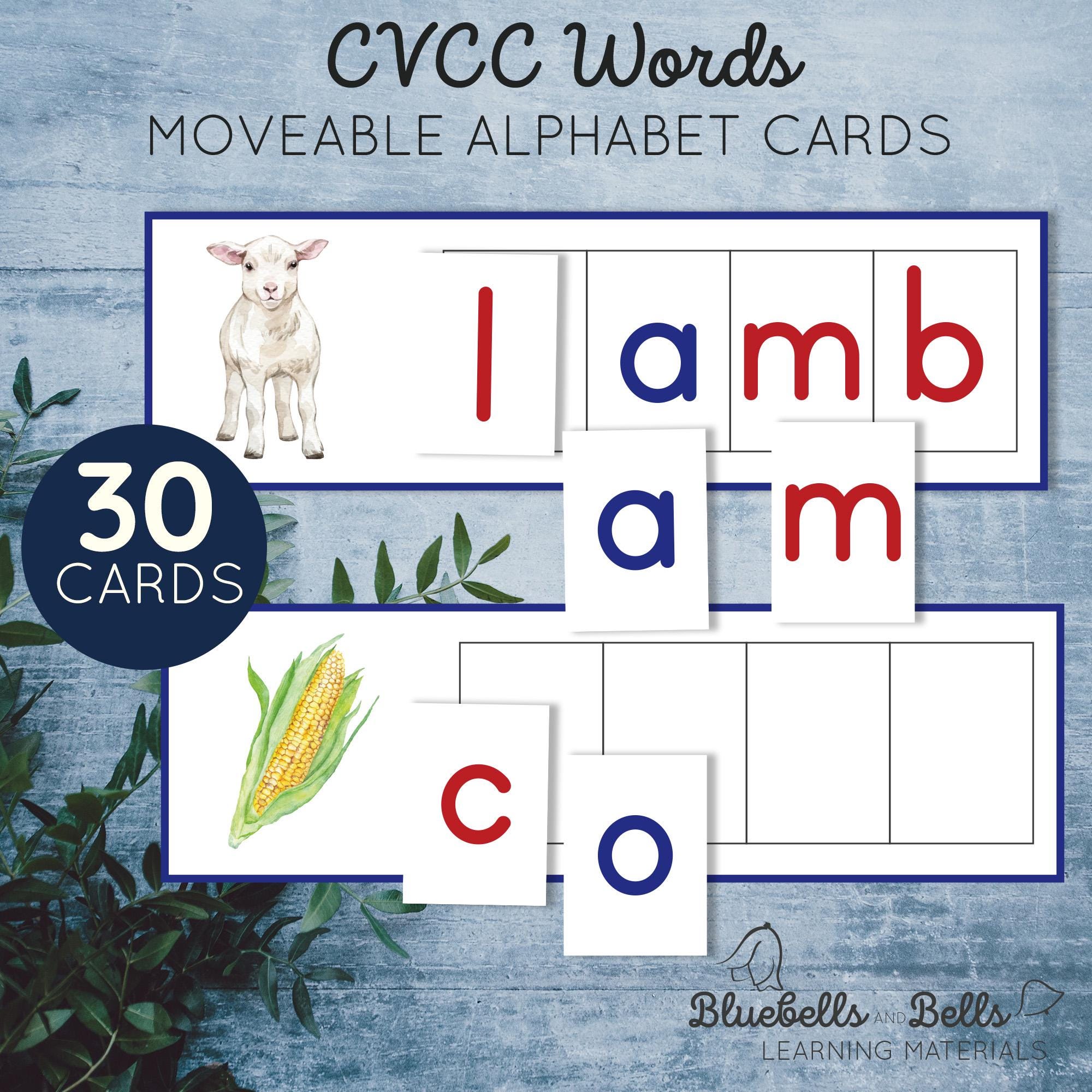 Montessori Moveable Alphabet Printable CVCC Words Cards for Letter ...