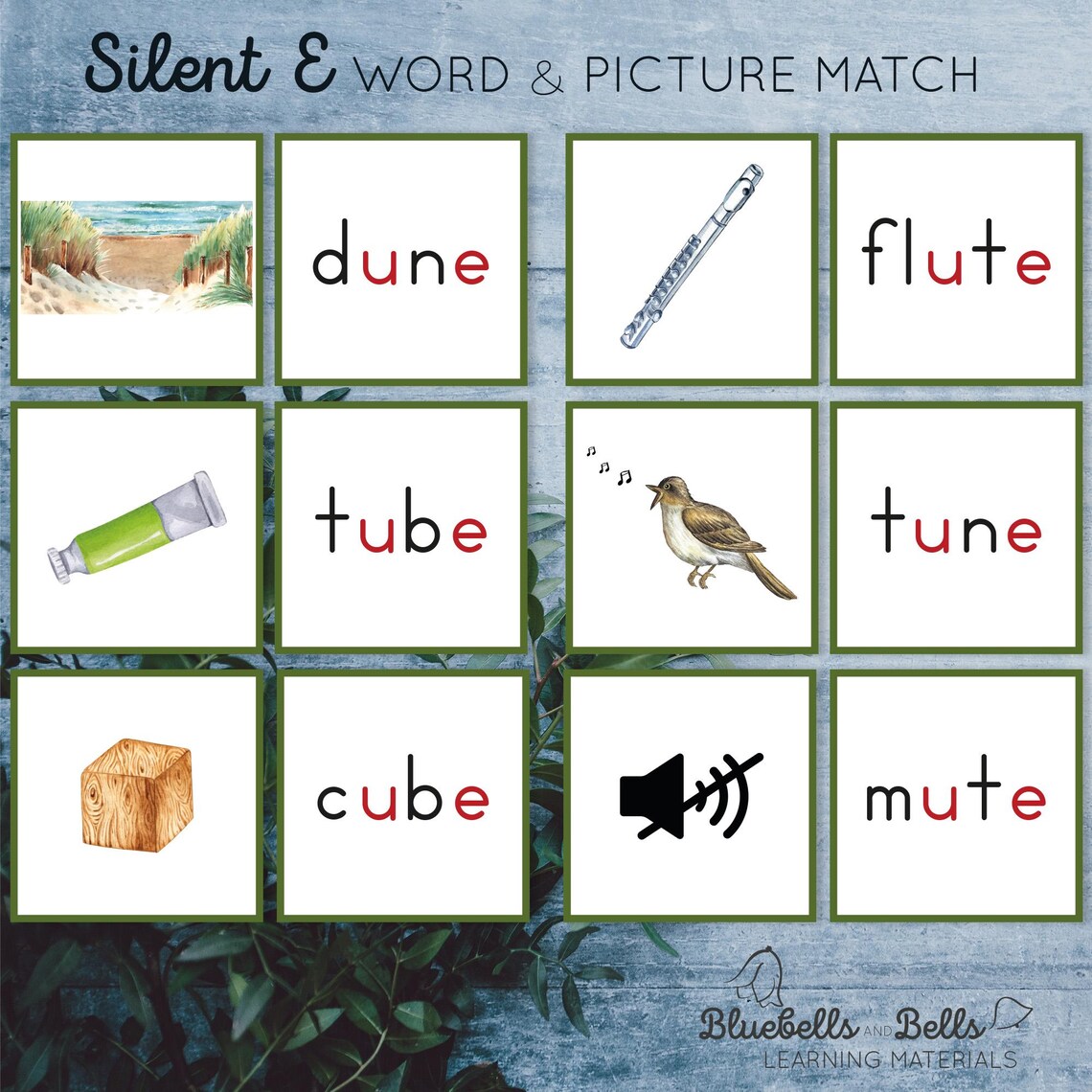 Silent E Montessori Green Series Picture Word Matching Activity. - Etsy