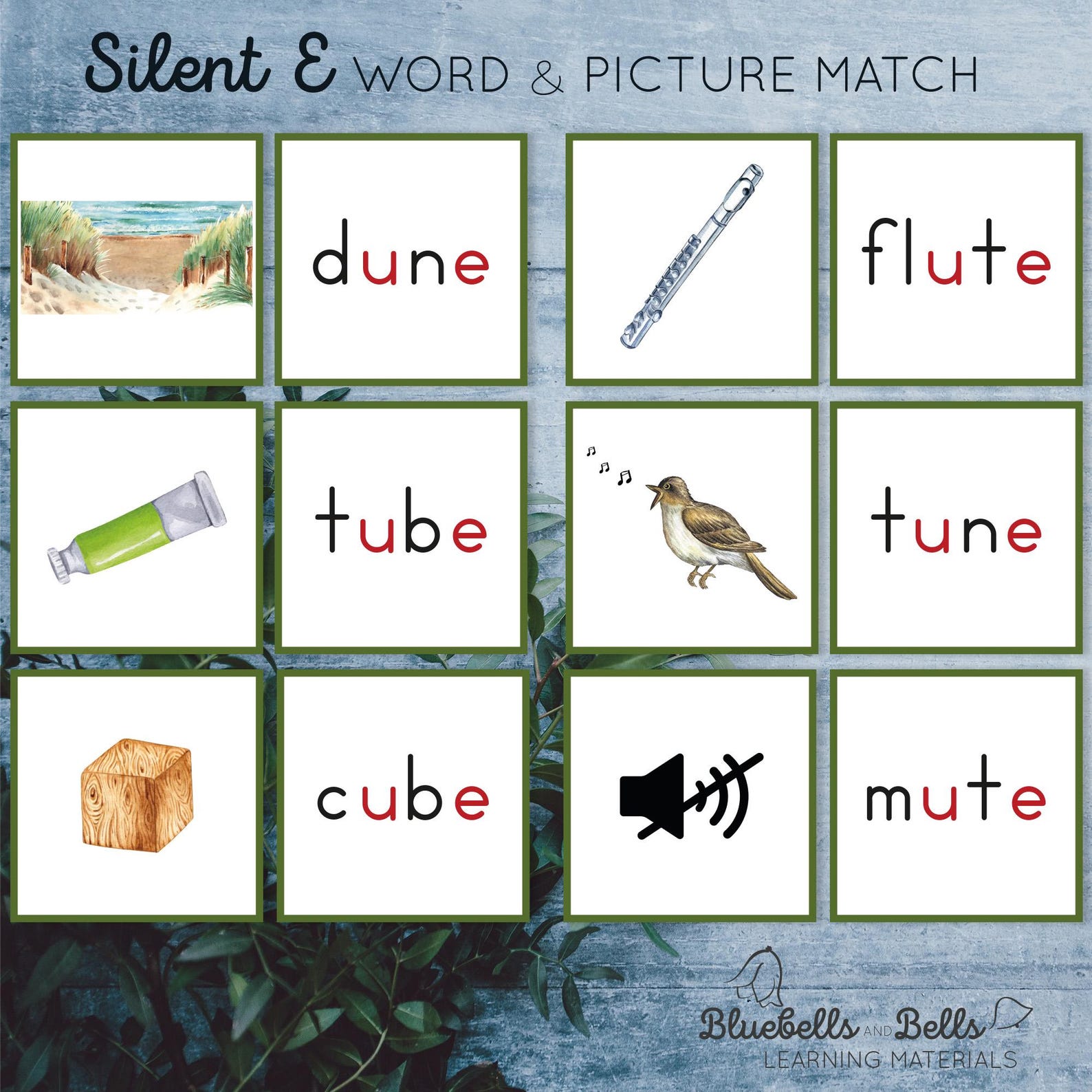 Silent E Montessori Green Series Picture Word Matching Activity. - Etsy