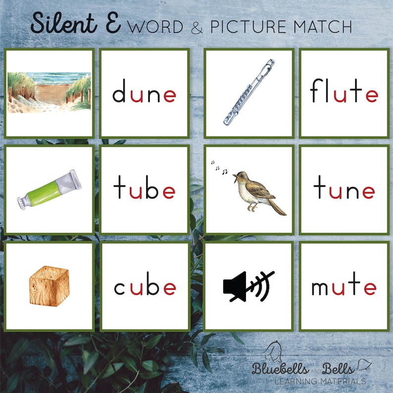 Silent E Montessori Green Series Picture Word Matching Activity. - Etsy