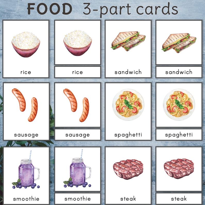 Montessori Printable Food 3 Part Cards. Preschool and - Etsy