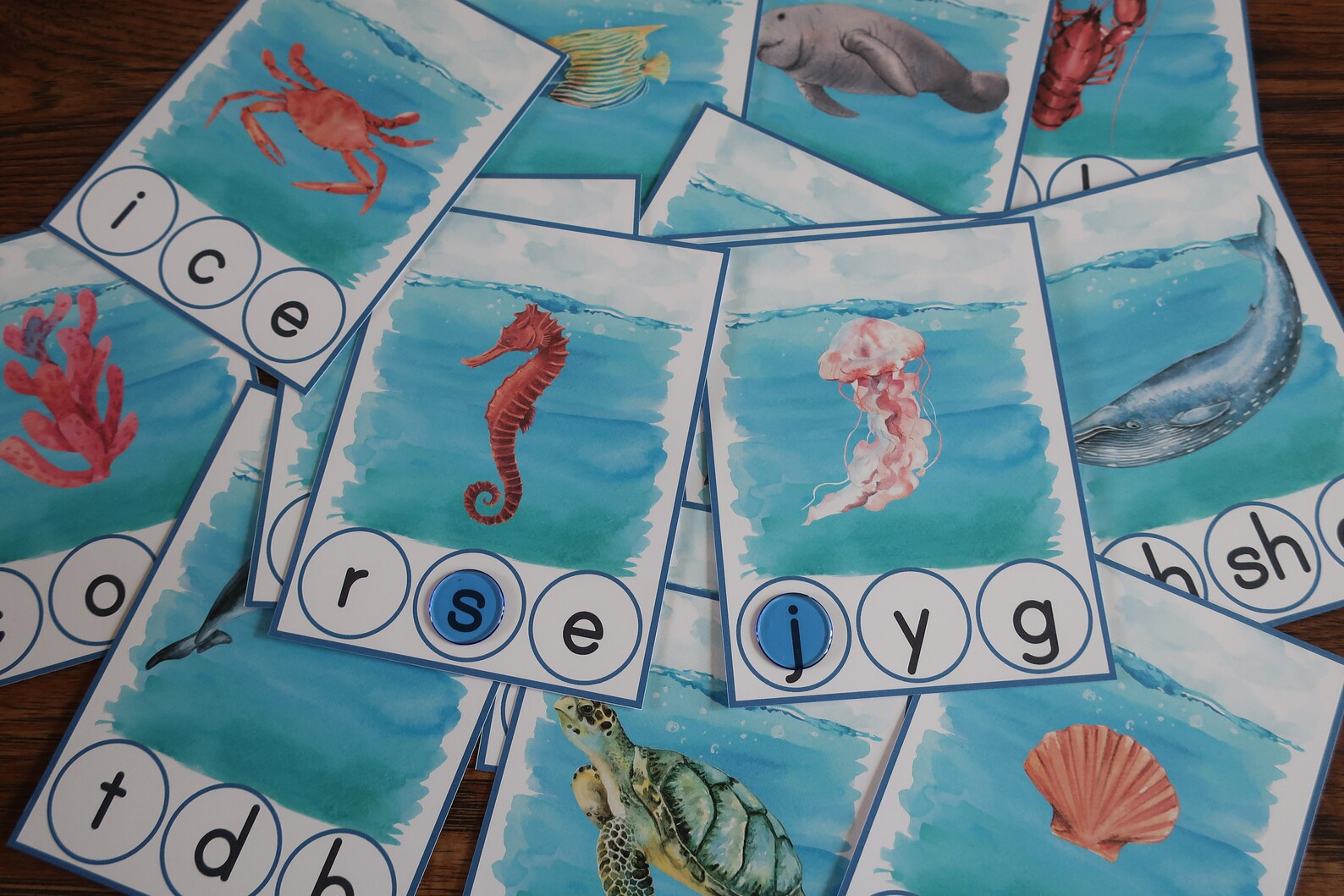 Ocean Animal Printable Phonics Clip Cards. Beginning Sound | Etsy