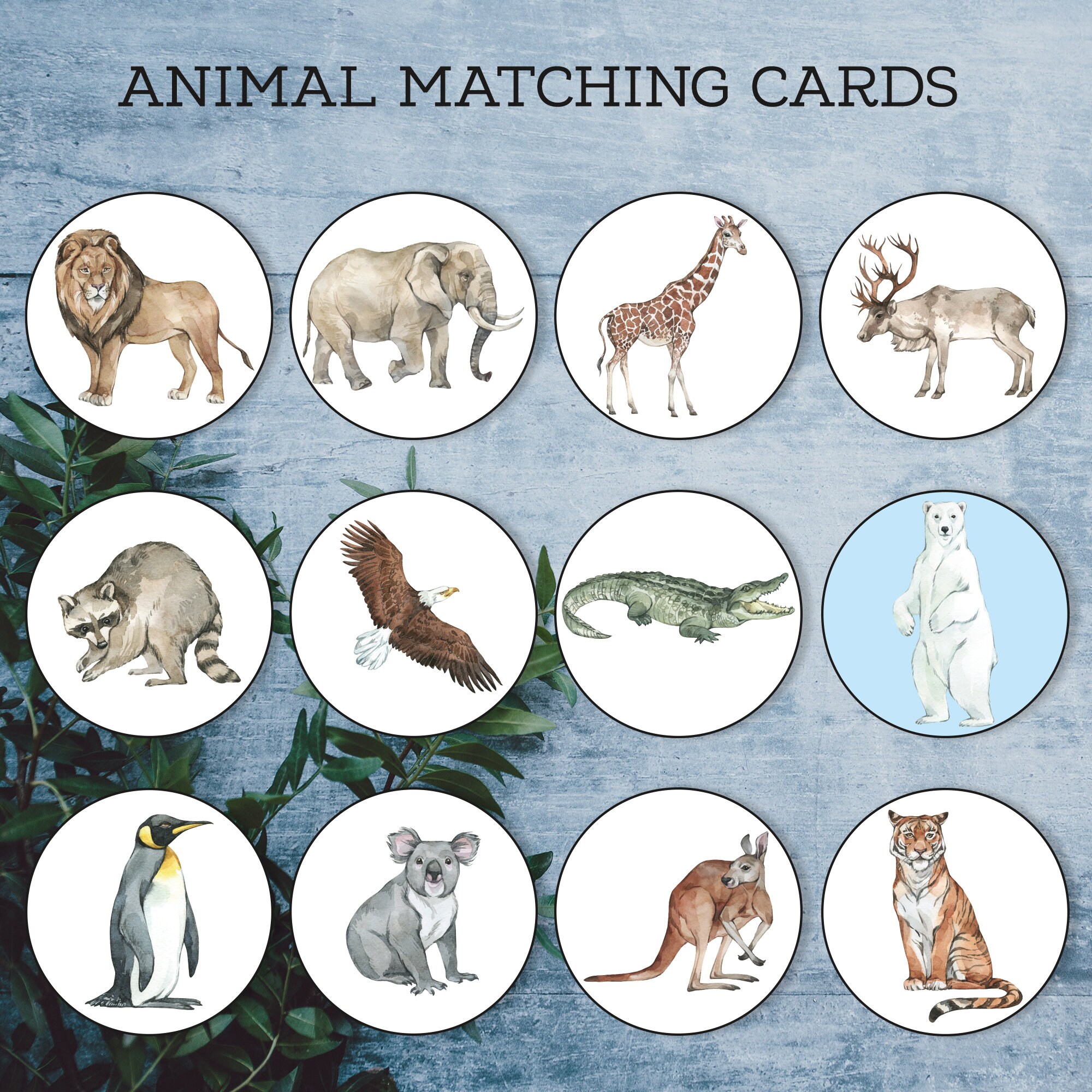 Animals of the Continents Shadow Matching Activity. Montessori | Etsy