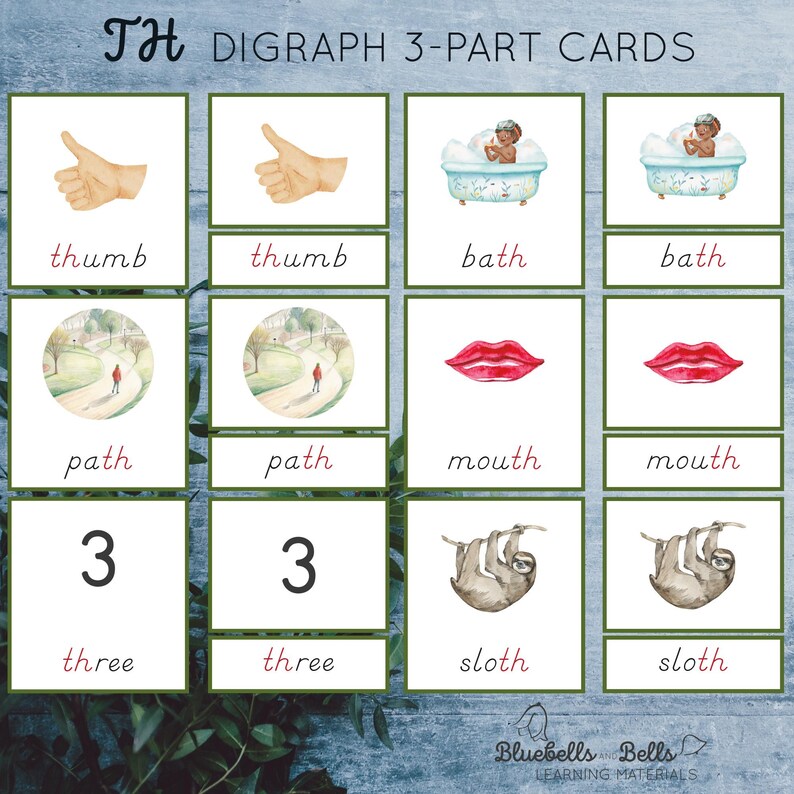 Montessori Phonics Green Series Digraph 3-part Cards. - Etsy