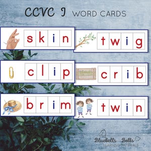 Montessori Printable Moveable Alphabet and CCVC Word Letter Matching ...