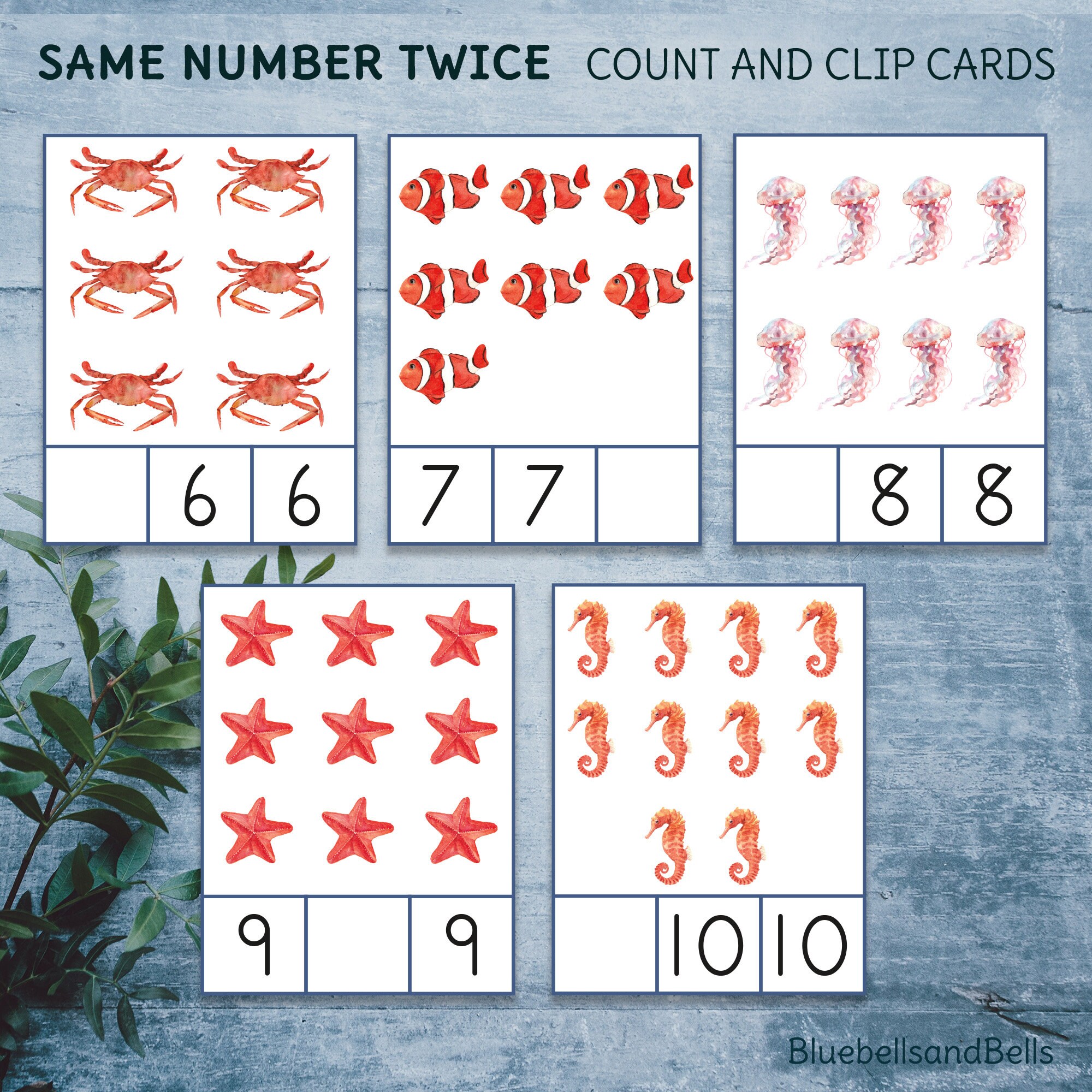 Special Education Errorless Count and Clip Cards 1-10 Ocean. - Etsy