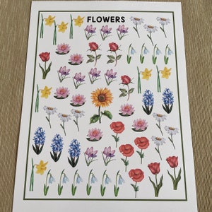 Graphing Printable Flowers. Preschool and Kindergarten Math Activity ...