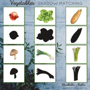 Vegetables Printable Shadow Matching Cards. Montessori Toddler Activity ...