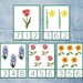 Flower Preschool Printable Count and Clip Cards 1-10. Montessori Spring ...