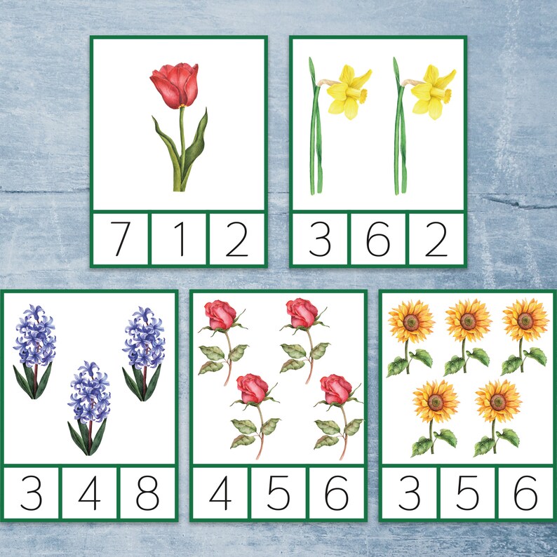 Flower Preschool Printable Count and Clip Cards 1-10. | Etsy