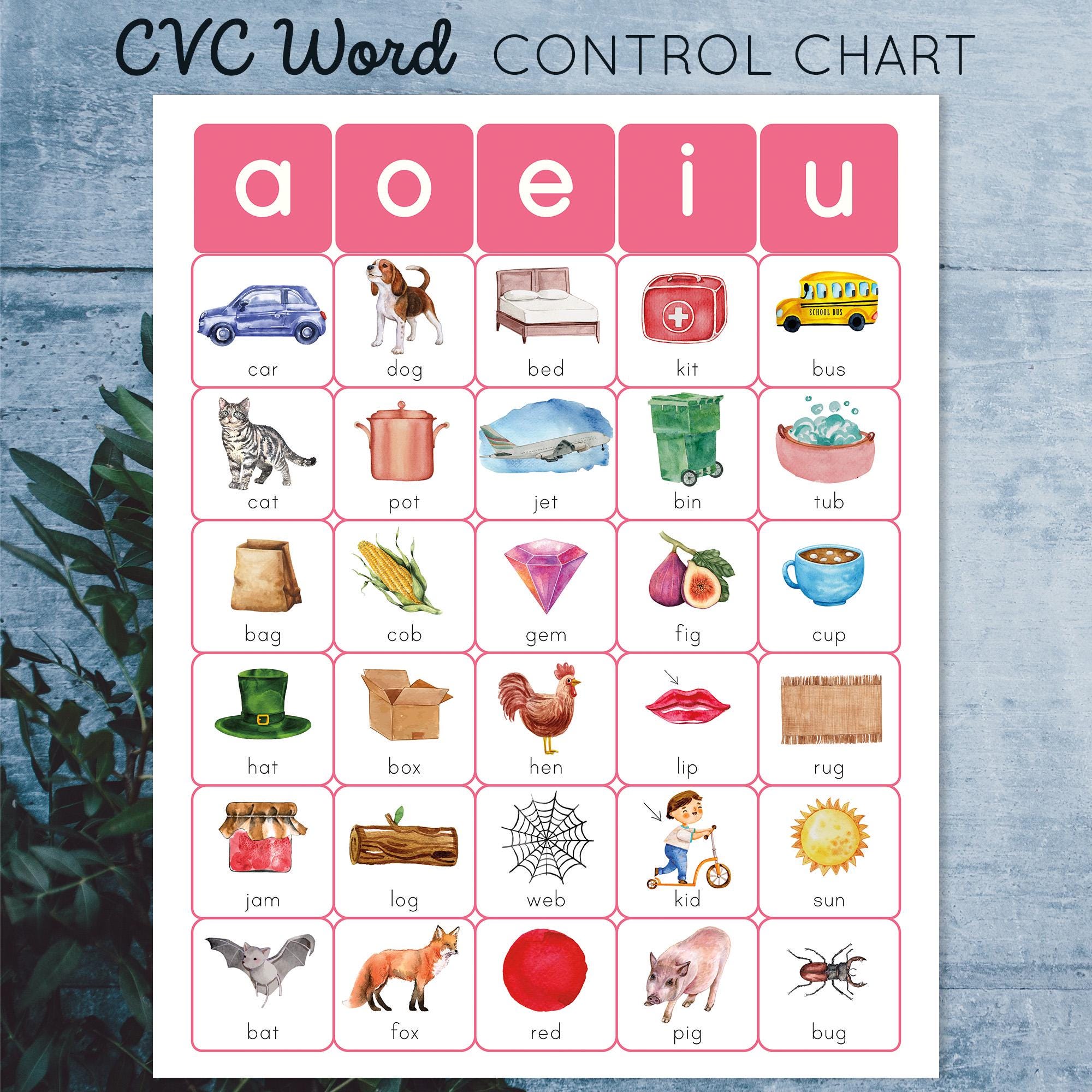 CVC Word Sort Vowel. CVC Word Printable Chart With Pictures. - Etsy