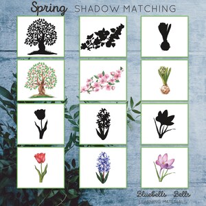 Spring Shadow Matching Cards. Montessori Printable. - Etsy