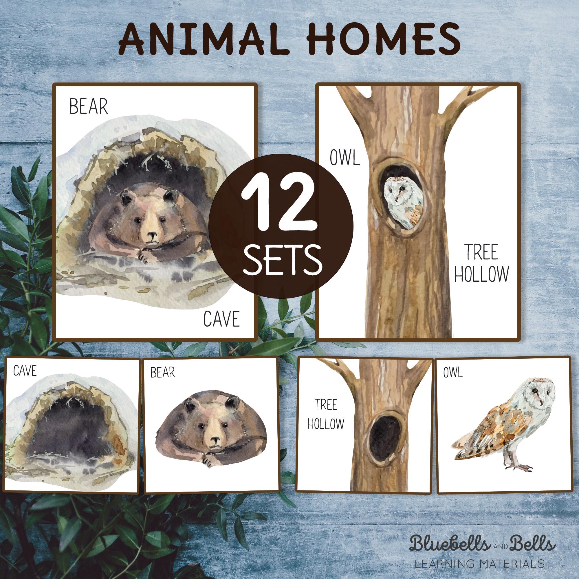 Animal Homes Cards and Matching Activity. - Etsy