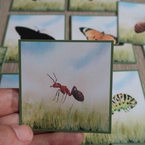 Insect Shadow Matching Cards. Montessori Pre-reading Printable for ...