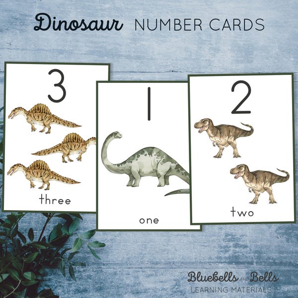 Number Flash Cards - Etsy