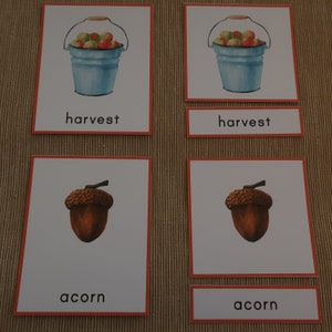 Fall Montessori Printable 3 Part Cards. Autumn Vocabulary for Preschool ...