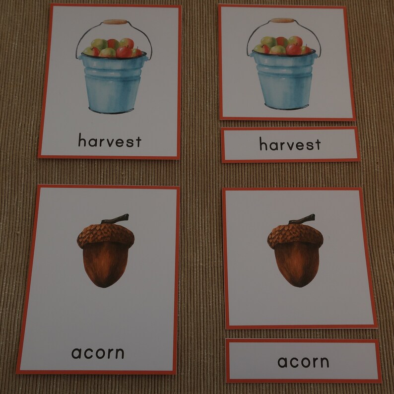 Fall Montessori Printable 3 Part Cards. Autumn Vocabulary for - Etsy