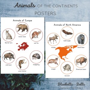 Animals of the Continents Posters and Sorting Activity. Montessori ...