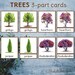 Trees Montessori 3 Part Cards. Tree Identification Cards. Vocabulary ...