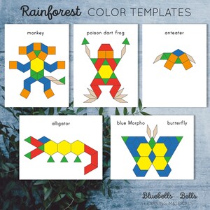 Rainforest Animals Pattern Blocks. Preschool Shape Matching Activity ...