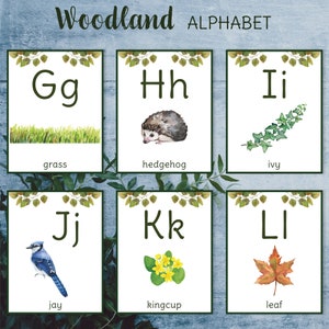 Woodland Alphabet Flashcards. Watercolor Letter Cards. Kids Printable ...