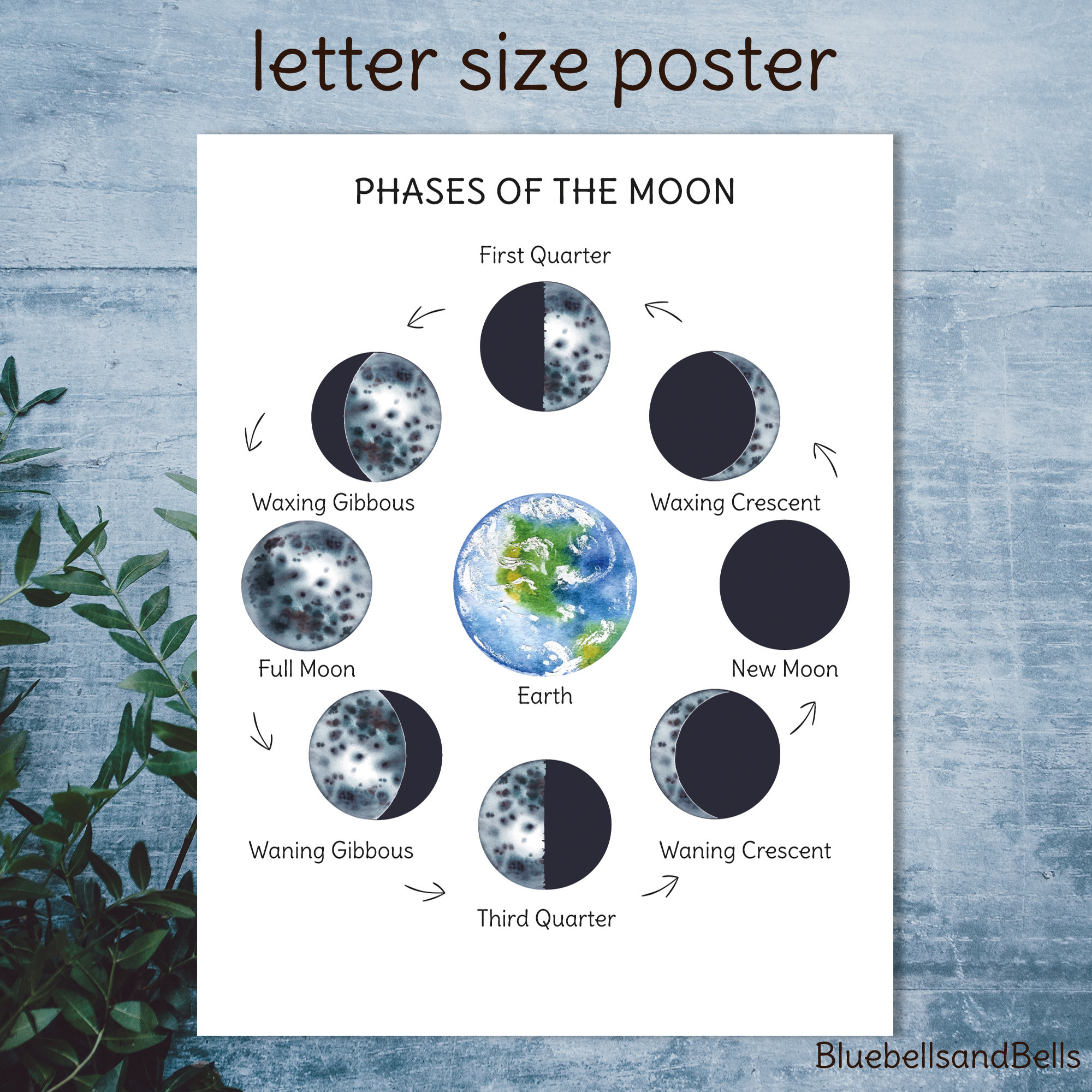 Phases of the Moon Printable Poster, Matching Activity and Flashcards ...