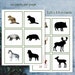 Woodland Animal Montessori Printable Shadow Matching Cards. - Etsy