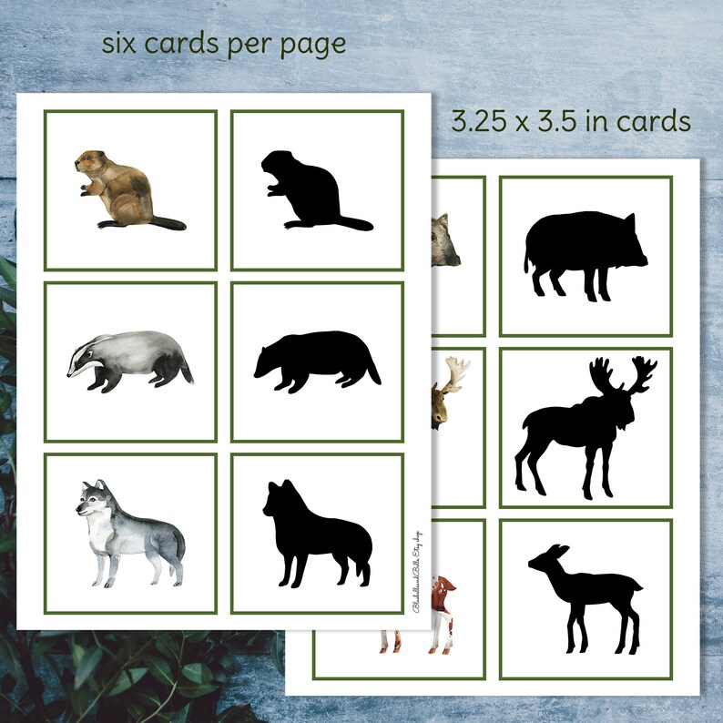 Woodland Animal Montessori Printable Shadow Matching Cards. | Etsy