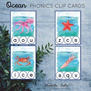 Ocean Animal Printable Phonics Clip Cards. Beginning Sound Activity ...