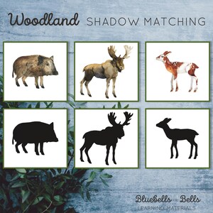 Woodland Animal Montessori Printable Shadow Matching Cards. Toddler ...